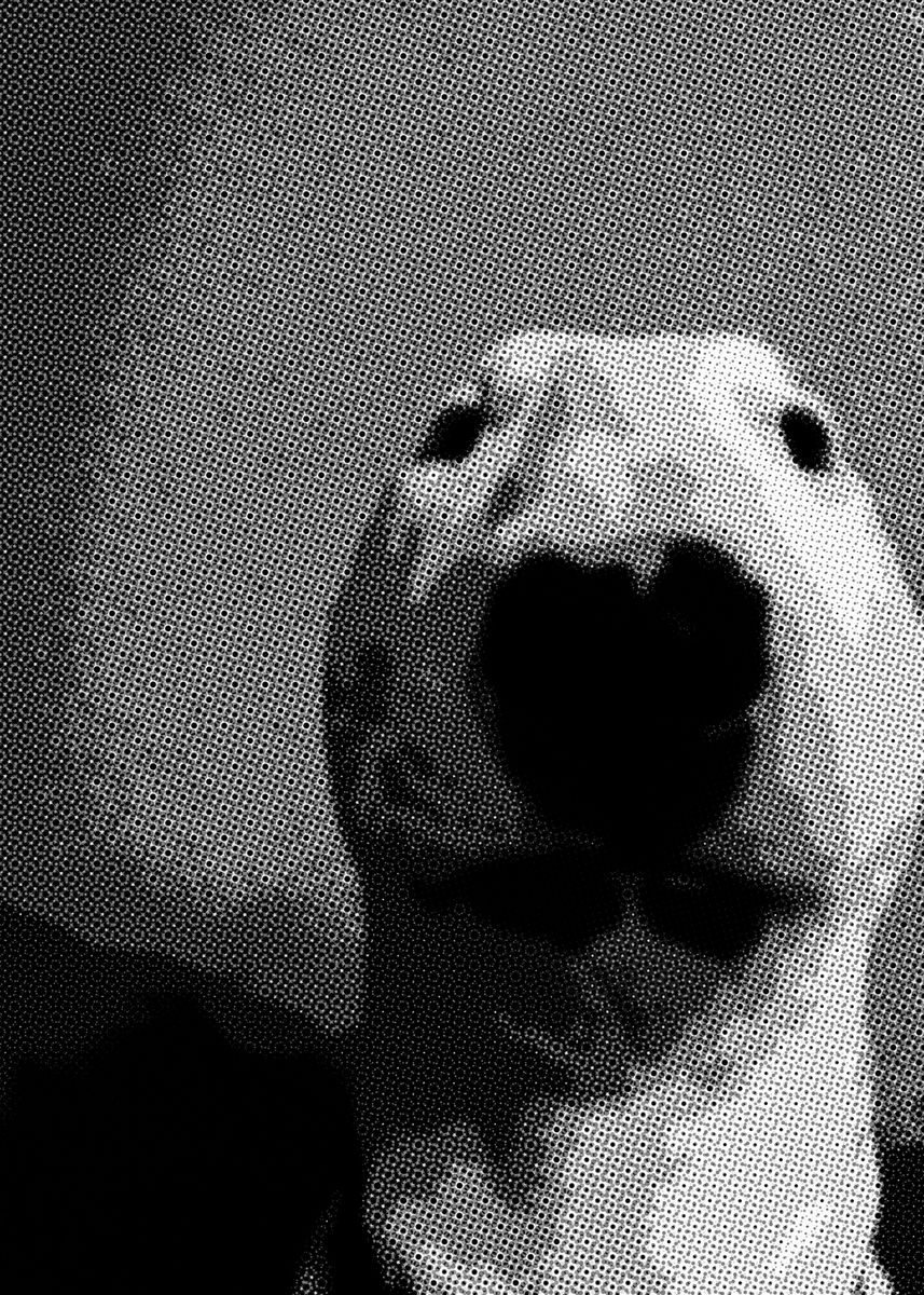 'Walter dog ' Poster, picture, metal print, paint by ipart id | Displate