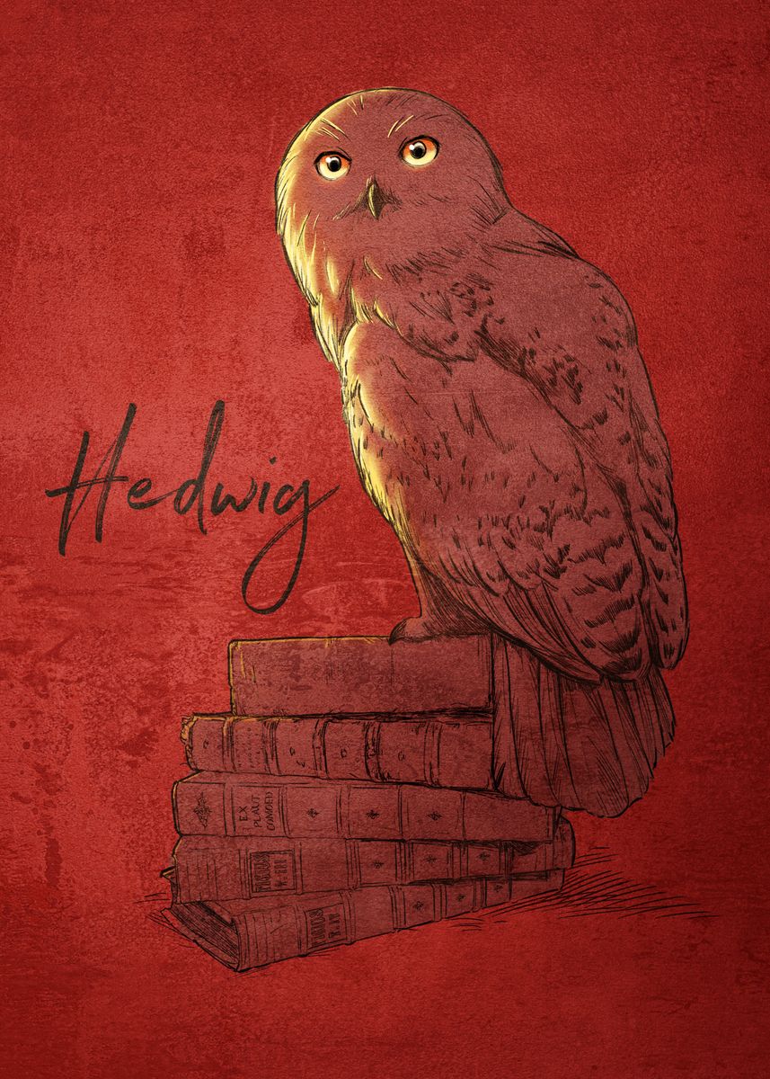 'Hedwig' Poster, picture, metal print, paint by Wizarding World | Displate