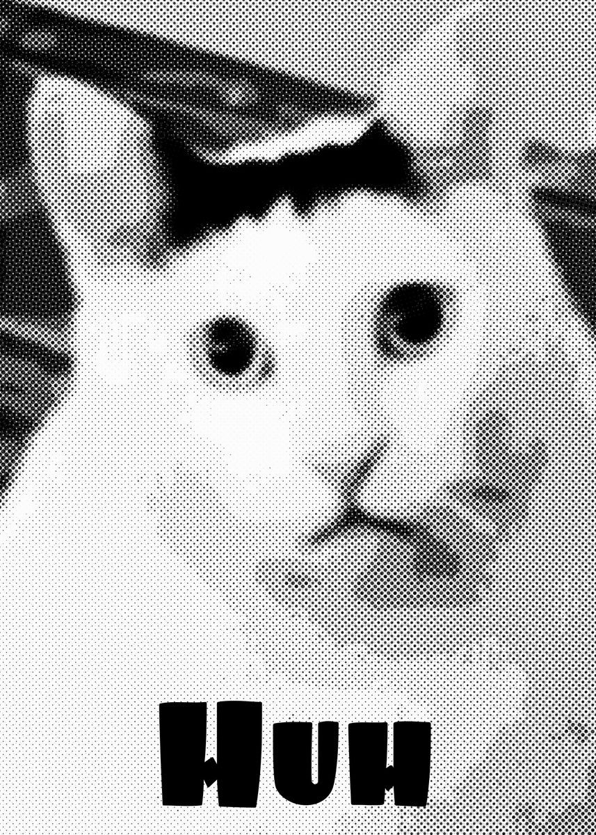 'Huh cat' Poster, picture, metal print, paint by ipart id | Displate