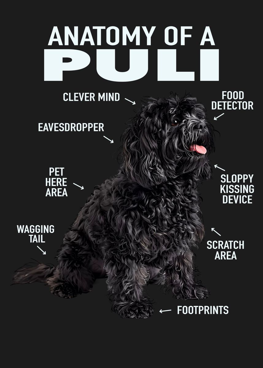 'Puli' Poster, picture, metal print, paint by Hexor | Displate