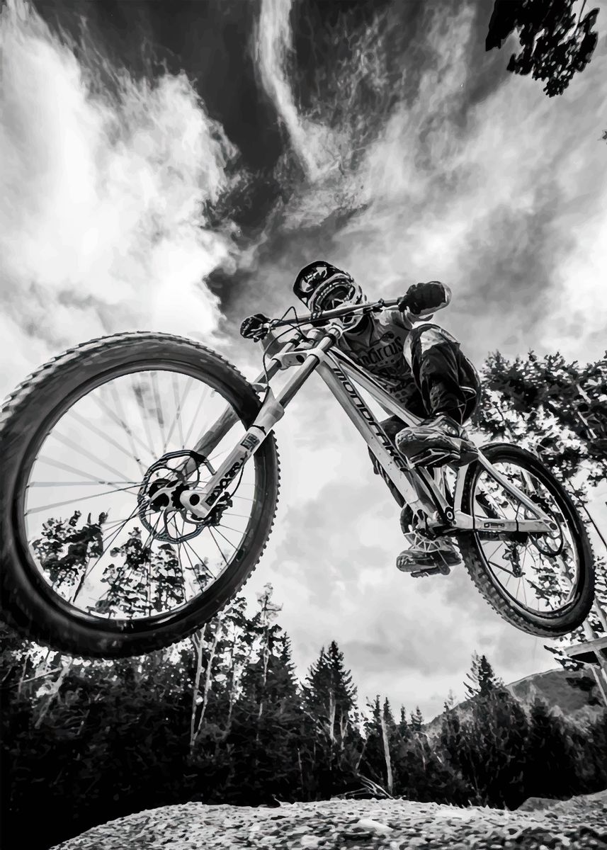 'downhill' Poster, picture, metal print, paint by mandha ndha | Displate