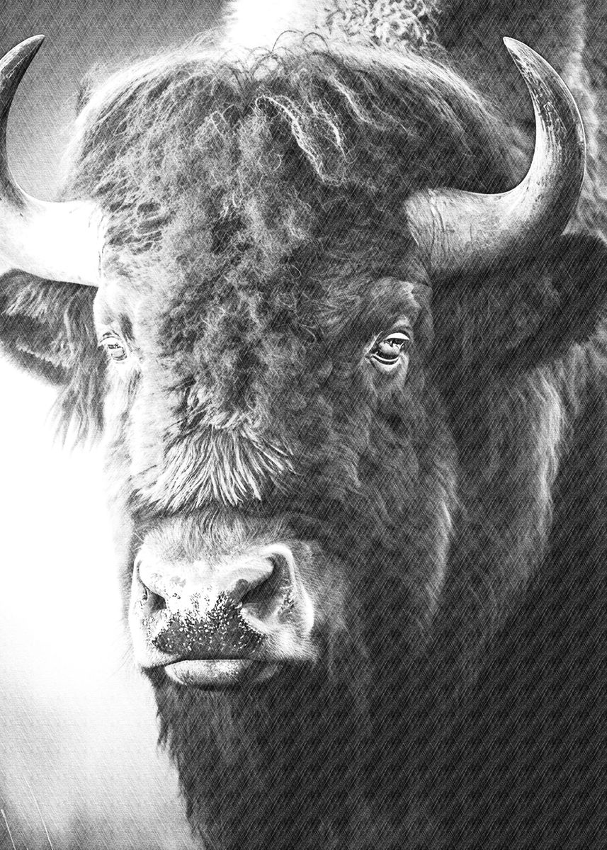 'Dashing bulls' Poster, picture, metal print, paint by ipart id | Displate