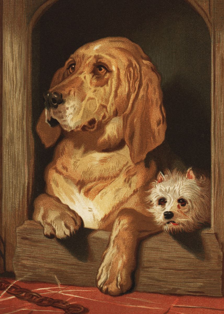 'Dogs ' Poster, picture, metal print, paint by kooldigi | Displate