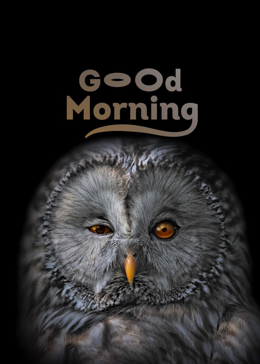 'Funny Owl Good Morning' Poster, picture, metal print, paint by Wibu ...