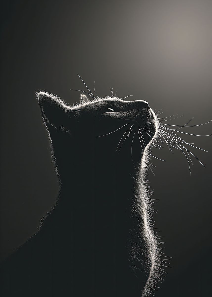 'cat in the dark' Poster, picture, metal print, paint by graficart ...