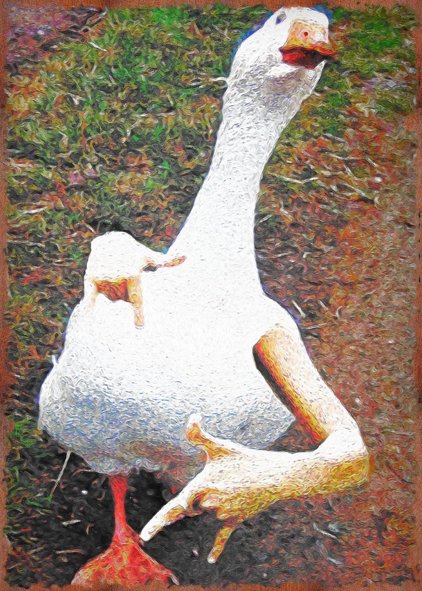 'cool duck meme' Poster, picture, metal print, paint by Limited Edition ...