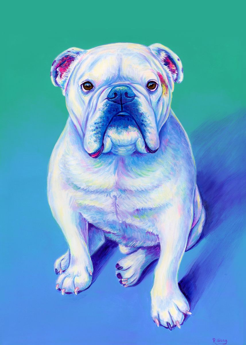 'English Bulldog' Poster, picture, metal print, paint by Rebecca Wang ...