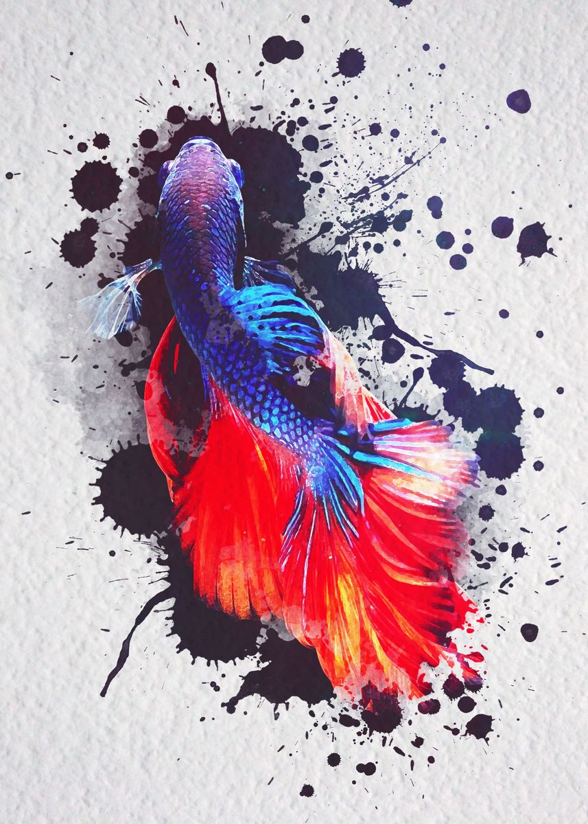 'Fighting Fish in Splatter' Poster, picture, metal print, paint by ...