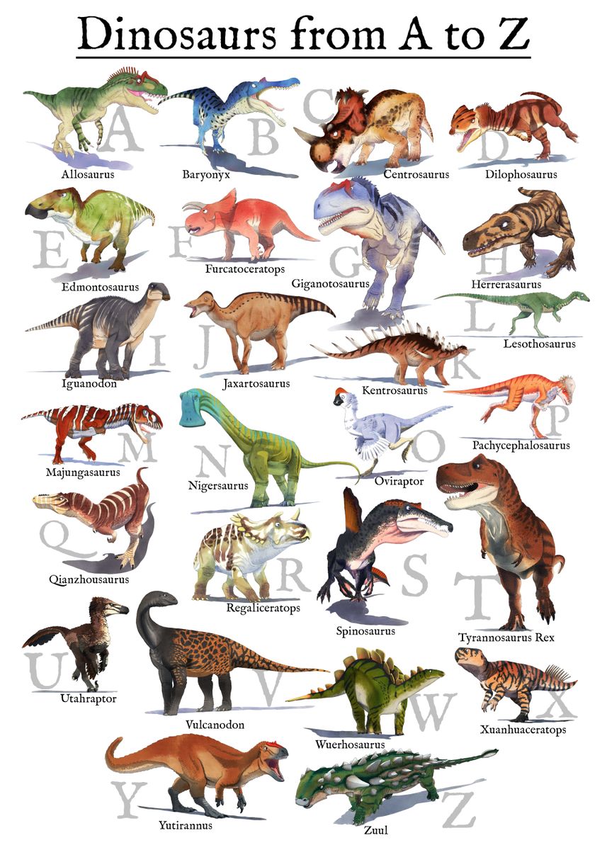 'Dinosaurs from A to Z' Poster, picture, metal print, paint by Ildegran ...