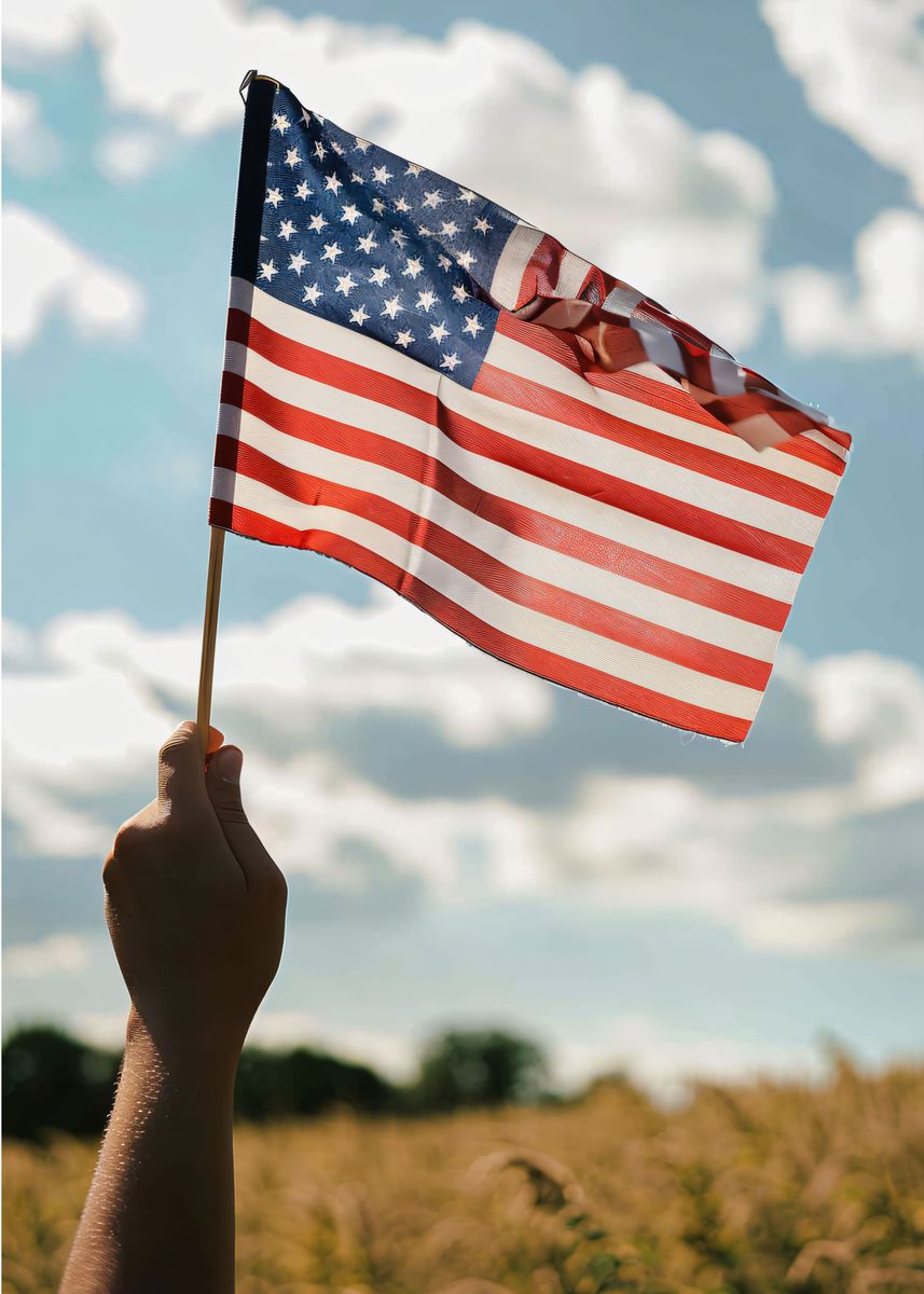 'USA Flag' Poster, picture, metal print, paint by Nikita Abakumov | Displate