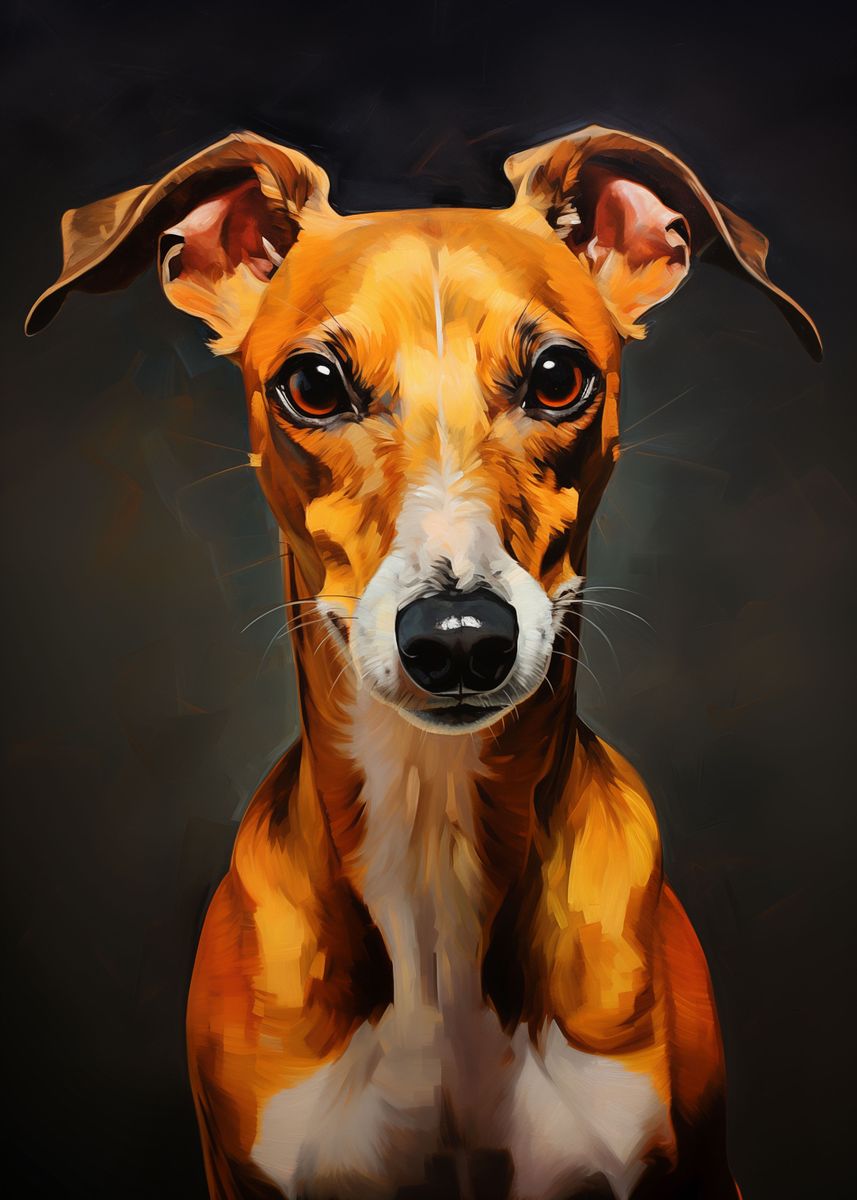 'Whippet' Poster, picture, metal print, paint by PetsArt Design | Displate