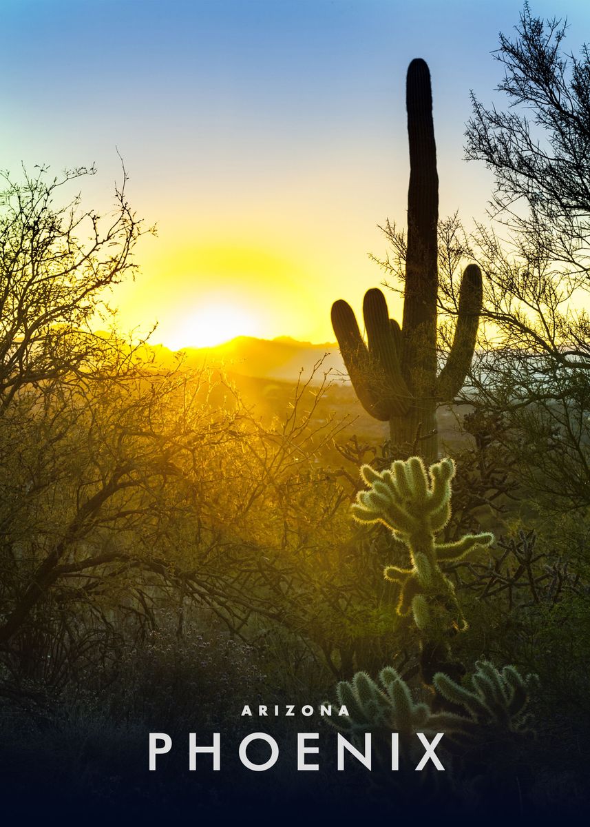 'Phoenix Arizona' Poster, picture, metal print, paint by Ez Photography ...