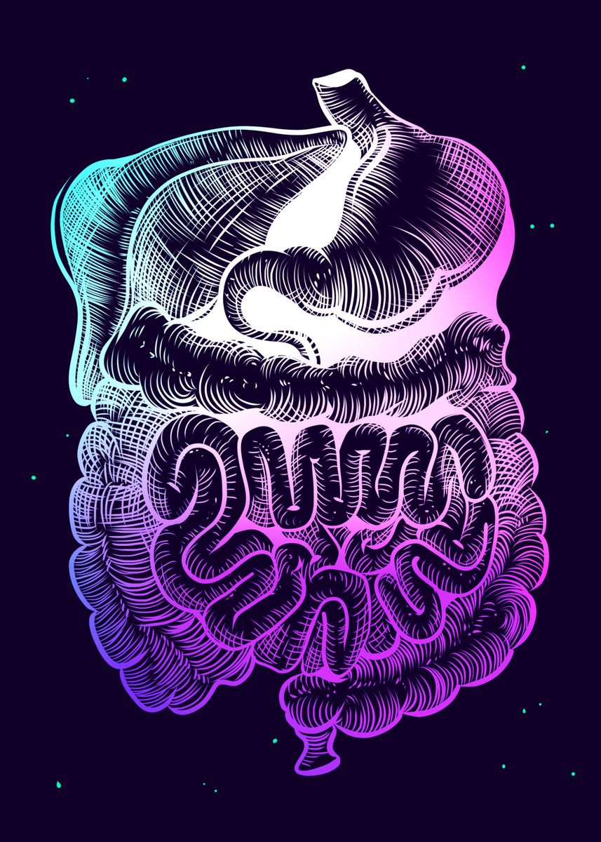 'Digestive System Colorful' Poster, picture, metal print, paint by ...