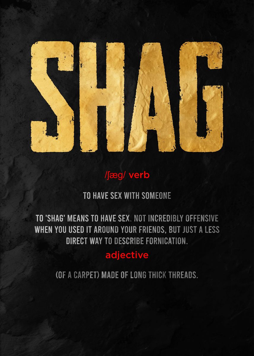 'shag funny definition' Poster, picture, metal print, paint by Lowpoly ...