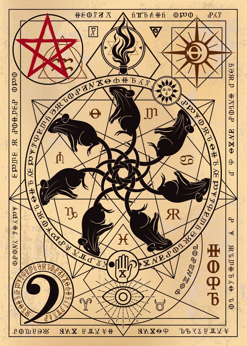 'rat king alchemy parchment' Poster, picture, metal print, paint by ...