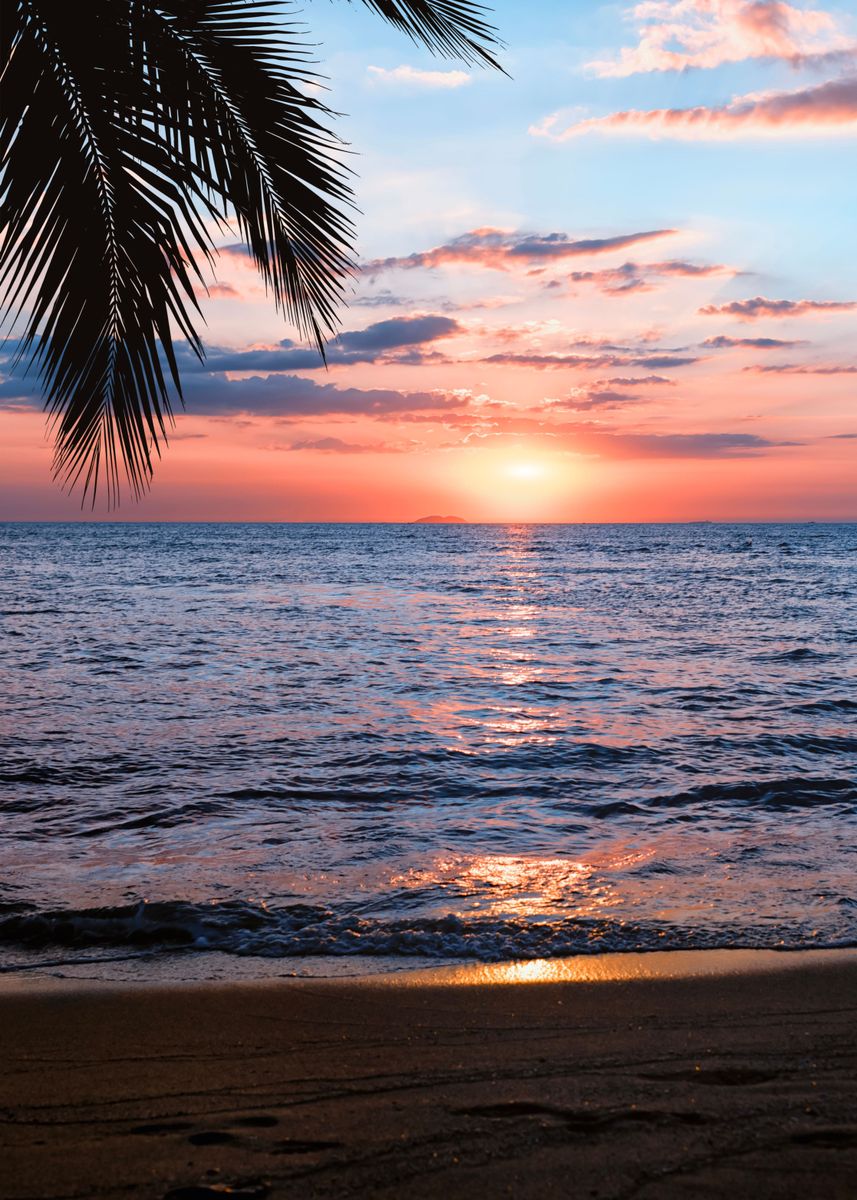 'Tropical Sunset' Poster, picture, metal print, paint by Mango Art ...