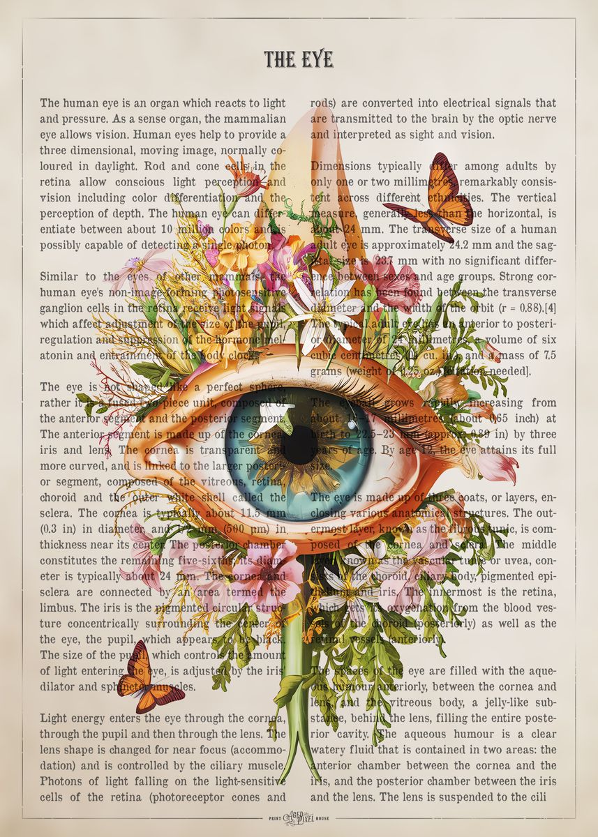 'Eye Anatomy' Poster, picture, metal print, paint by Aged Pixel | Displate