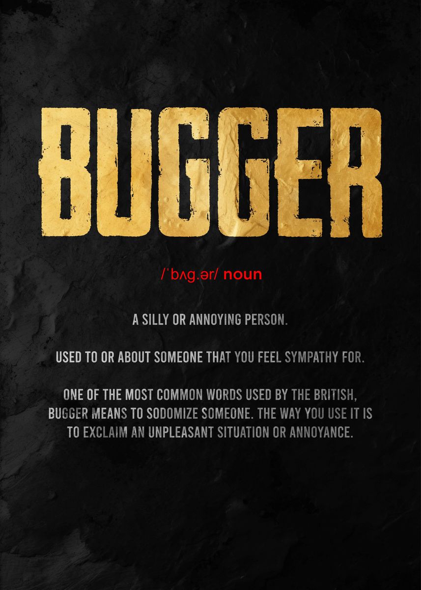 'bugger definition' Poster, picture, metal print, paint by Lowpoly Posters | Displate