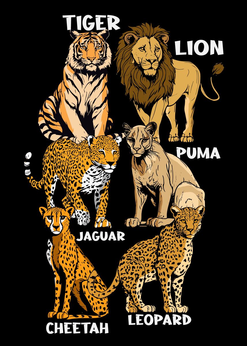 'Wildcats Jaguar Lion Puma' Poster, picture, metal print, paint by ...