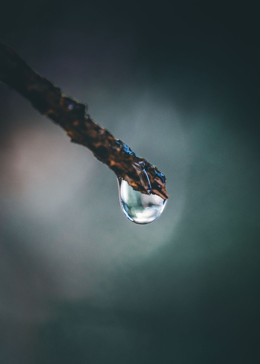 'Drop on stick' Poster, picture, metal print, paint by Adam Stolarczyk ...