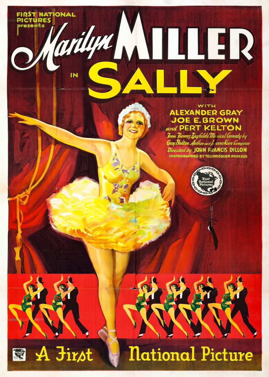 'Sally Movie Poster' Poster, picture, metal print, paint by Steel ...