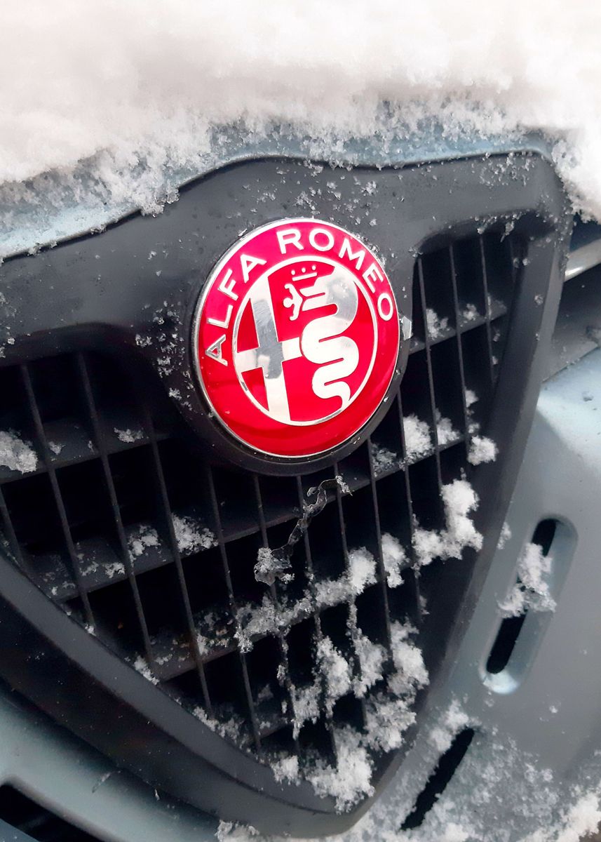 'Alfa Romeo Ice logo' Poster, picture, metal print, paint by Horror ...