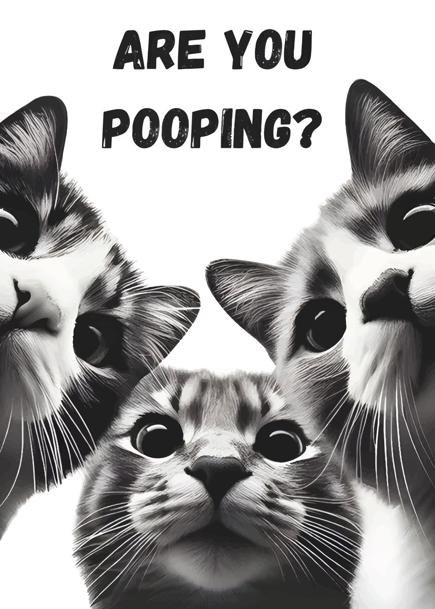 ' Are You Pooping cats' Poster, picture, metal print, paint by maxmah ...