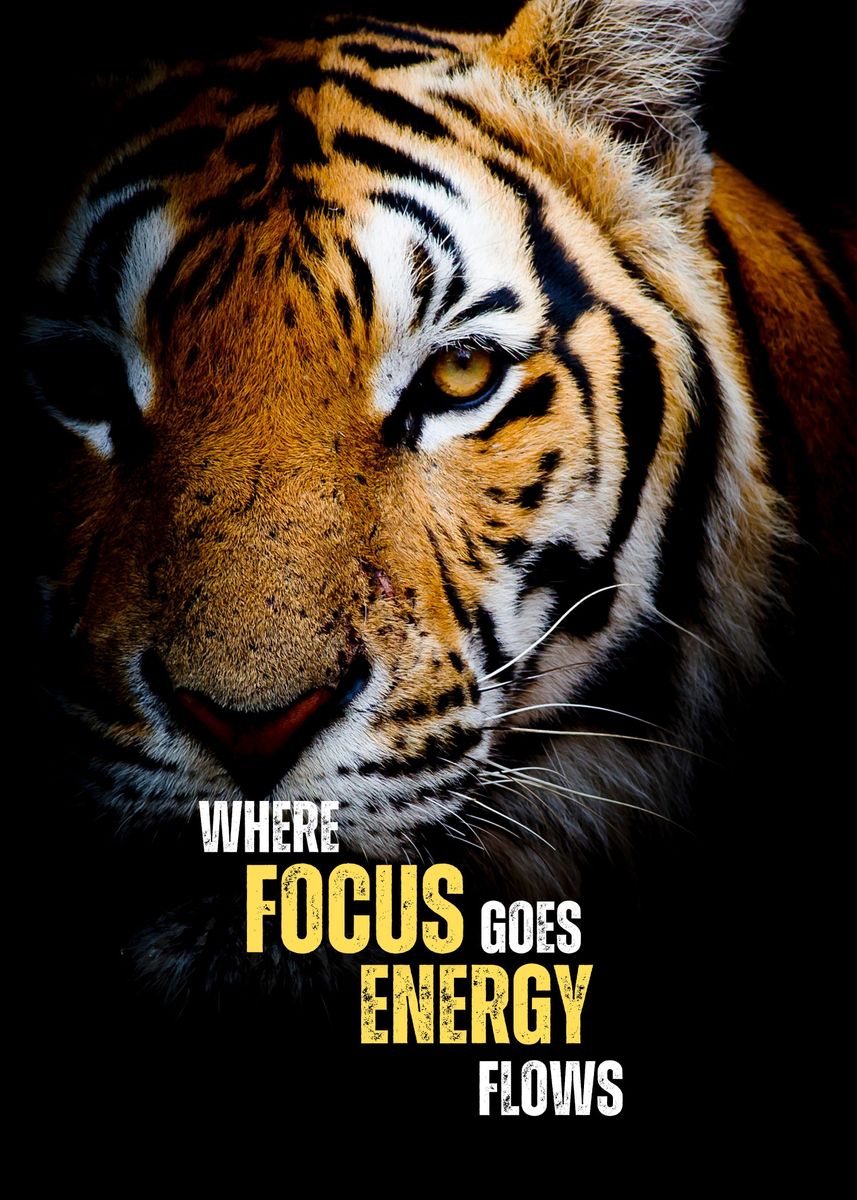 'Tiger Focus Energy Quote' Poster, picture, metal print, paint by ...
