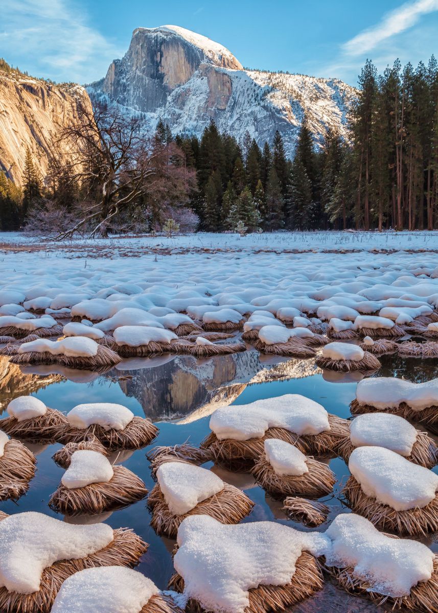 'Half Dome' Poster, picture, metal print, paint by Jonathan Nguyen ...