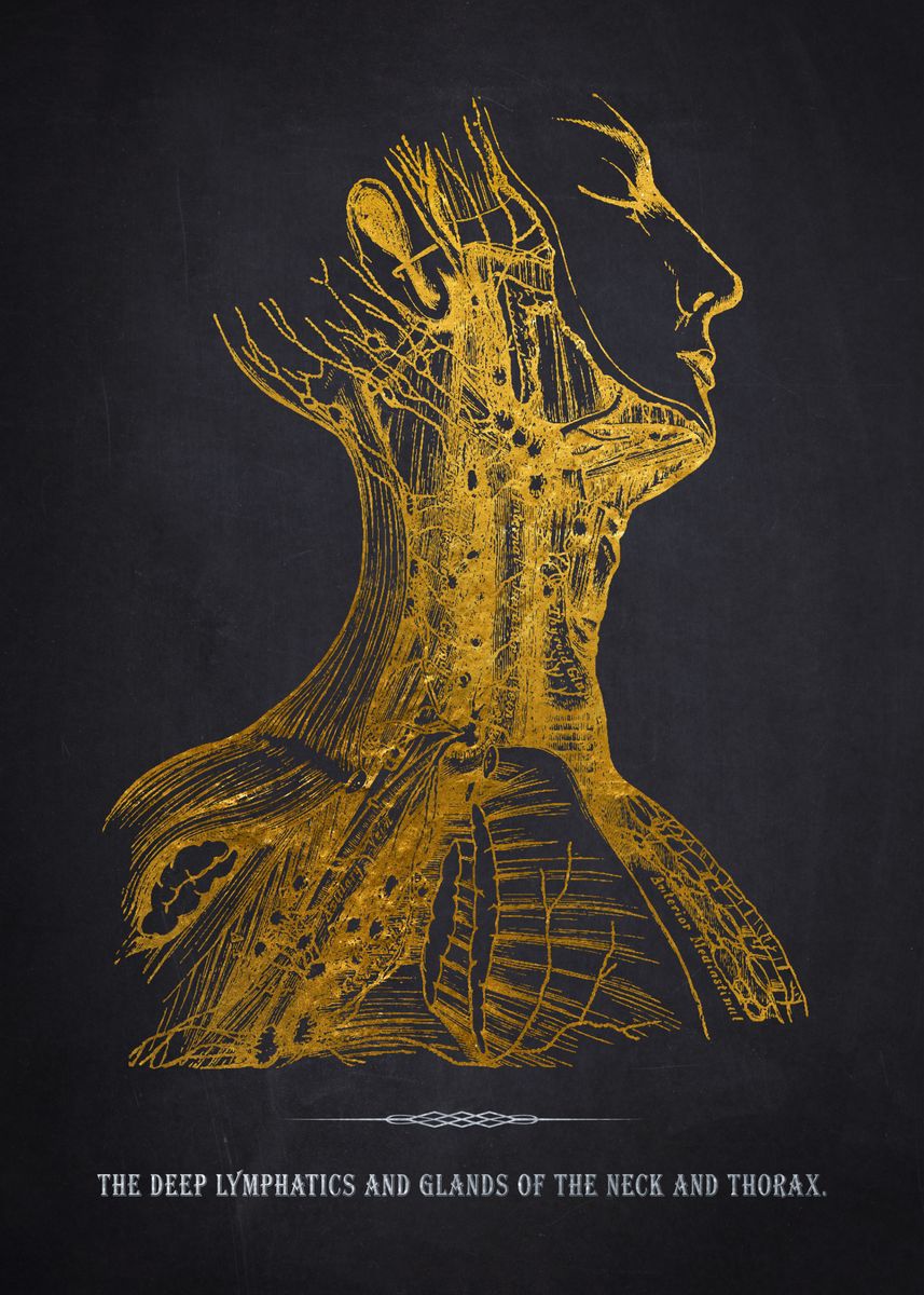'Gold Lymphatic System' Poster, picture, metal print, paint by Aged Pixel | Displate