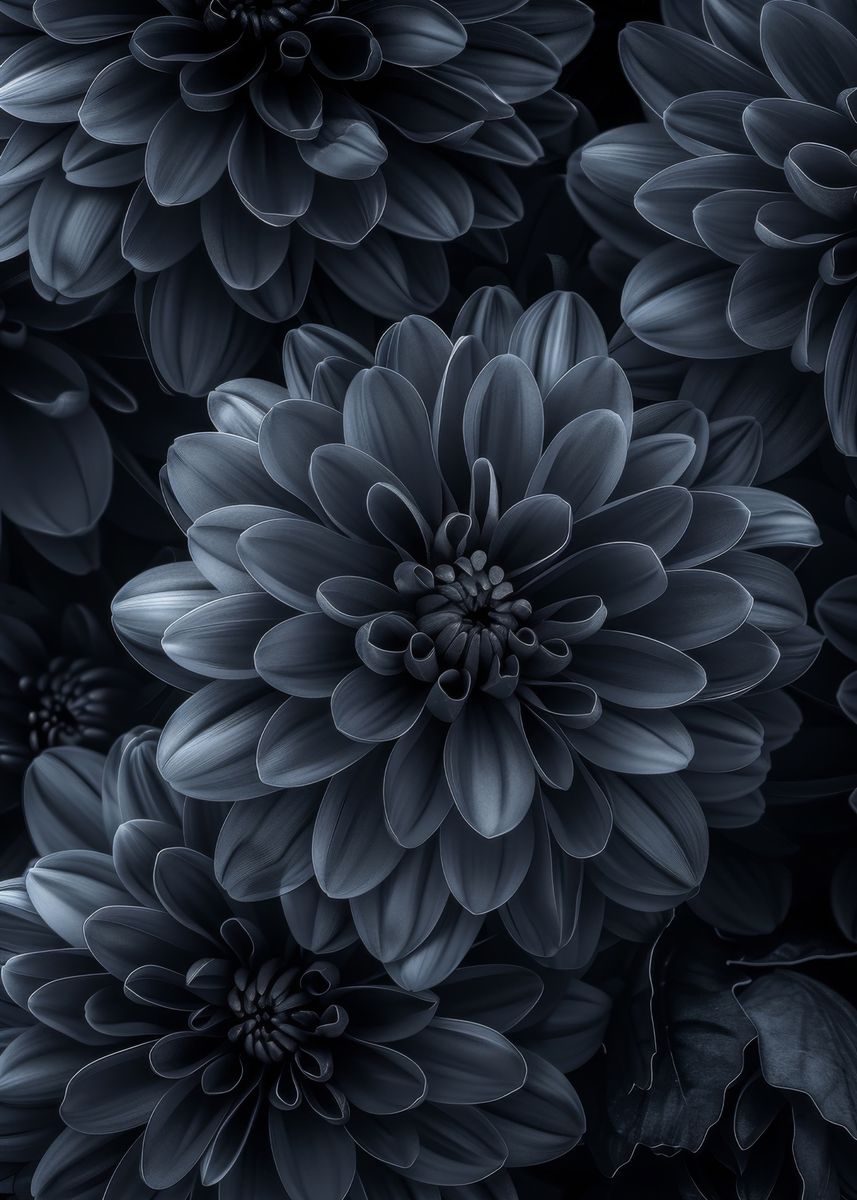 'Dark Floral Bloom' Poster, picture, metal print, paint by Ray Faye ...