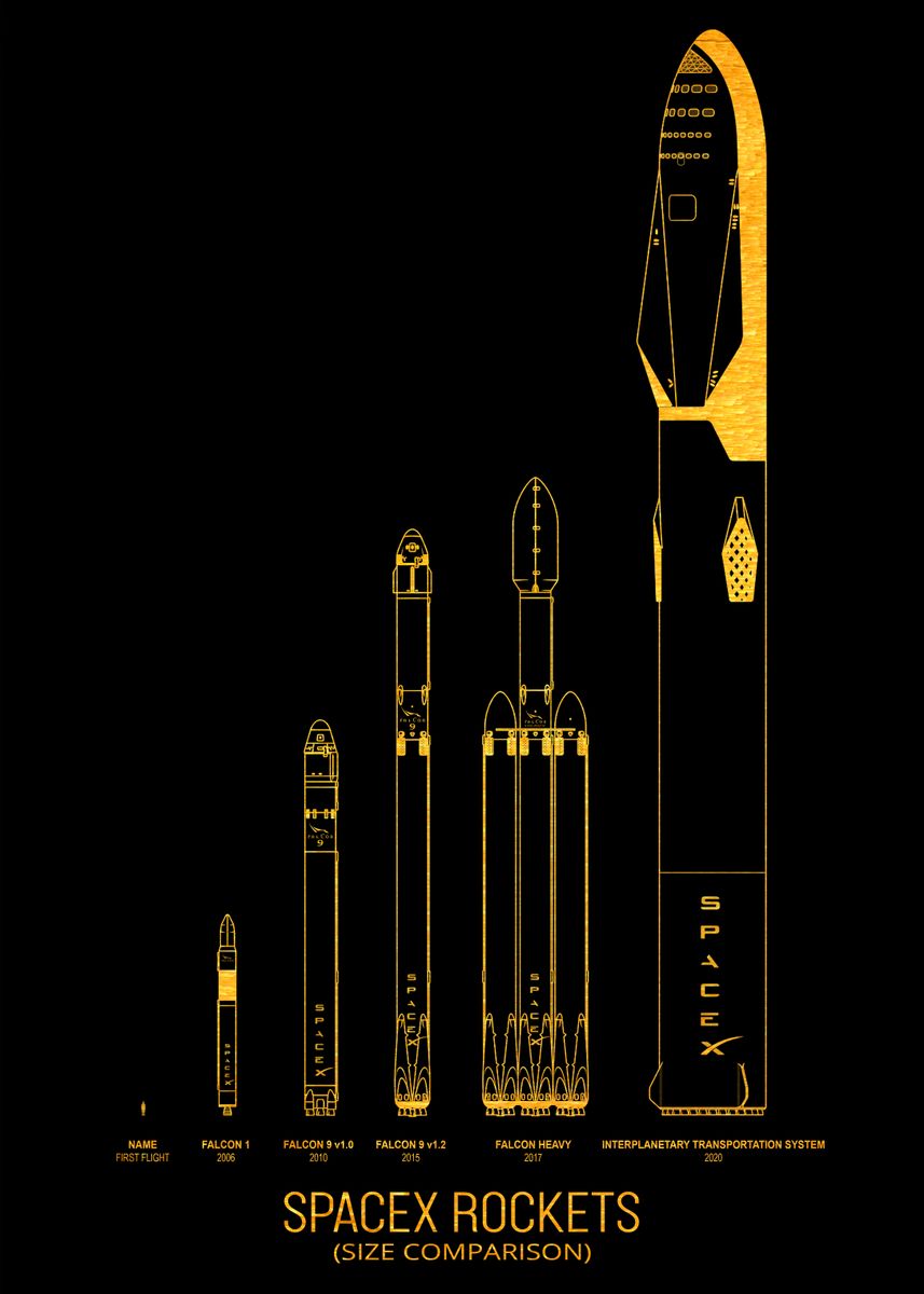 'SpaceX Rocket Size Comparison' Poster, picture, metal print, paint by ...