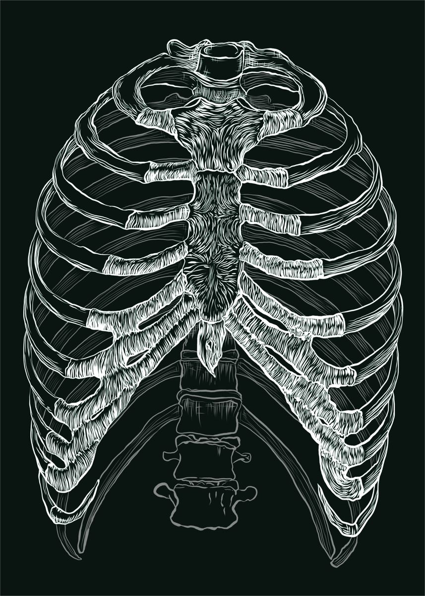 'The Rib Cage' Poster, picture, metal print, paint by GuacamayArt ...