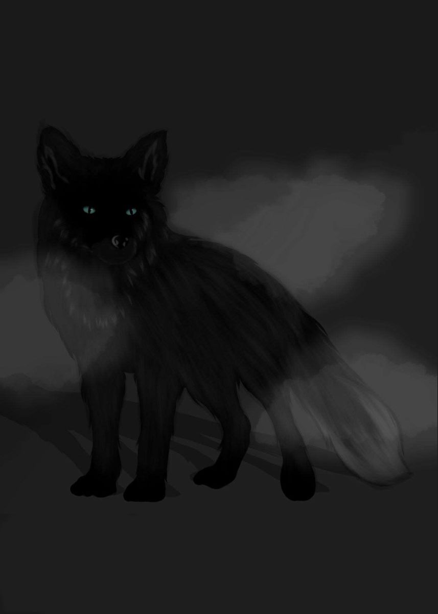 'Black Fox in the Dark' Poster, picture, metal print, paint by Shadow ...