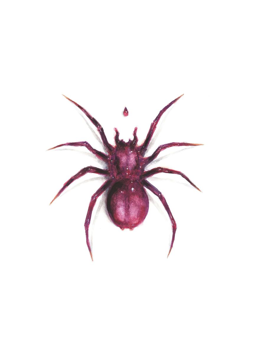 'Doja Cat Scarlet Purple Spider Watercolor' Poster, picture, metal ...