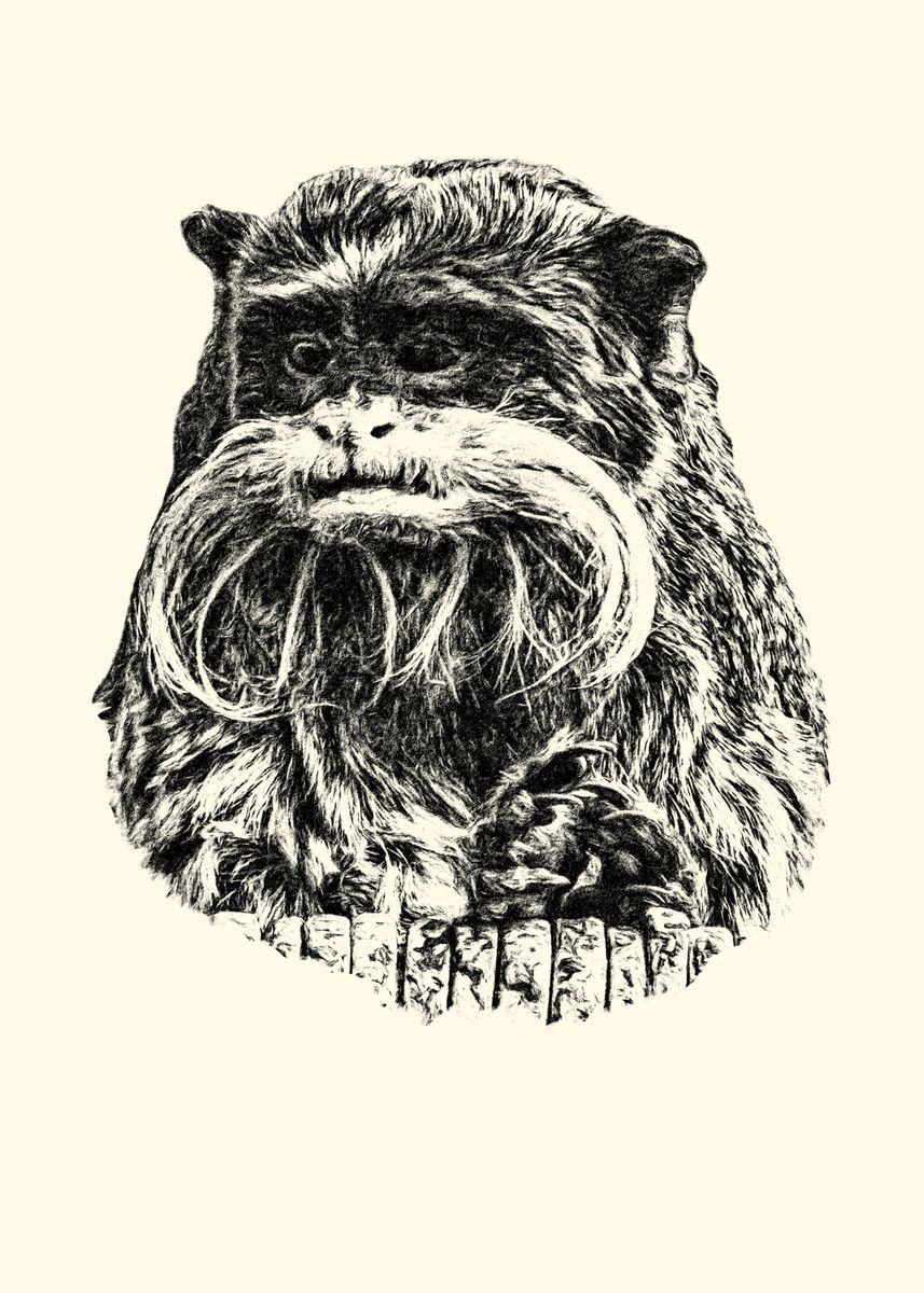 'Emperor tamarin' Poster, picture, metal print, paint by Gyula Gvardián ...