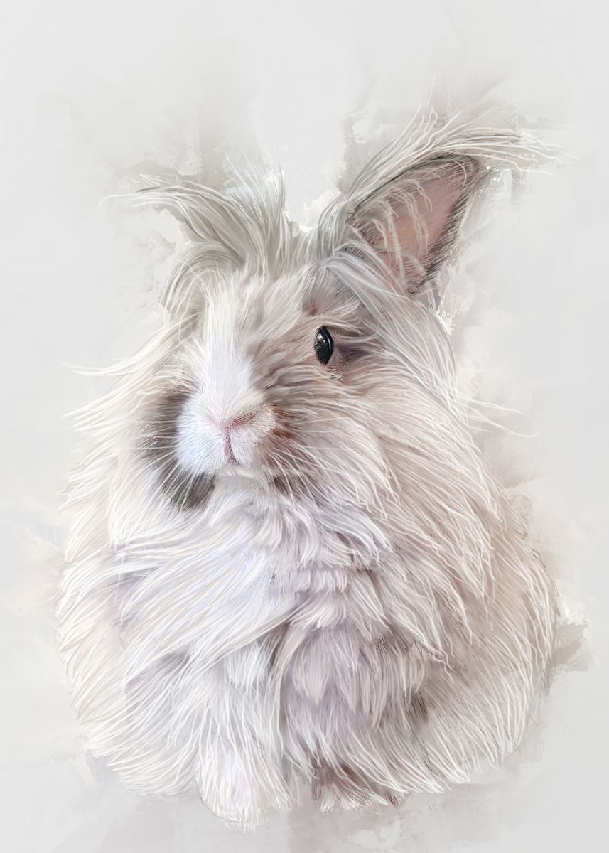 'Dwarf Angora Rabbit' Poster, picture, metal print, paint by ...