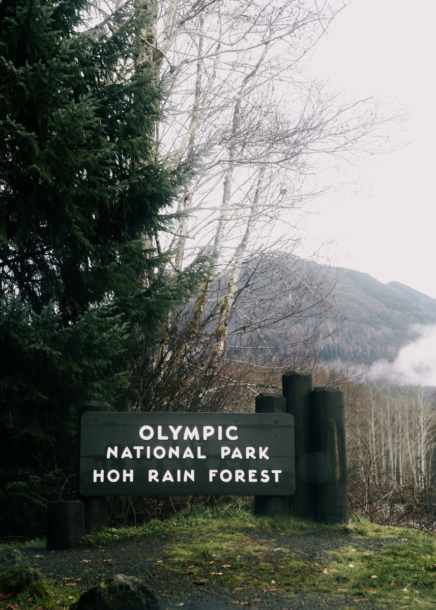 'Olympic National Park Sign' Poster, picture, metal print, paint by ...