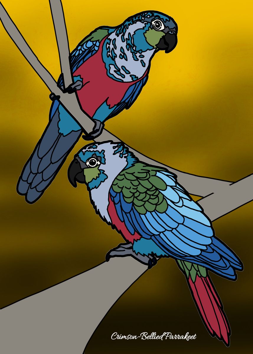 'Crimson-Bellied Parakeet' Poster, picture, metal print, paint by ...
