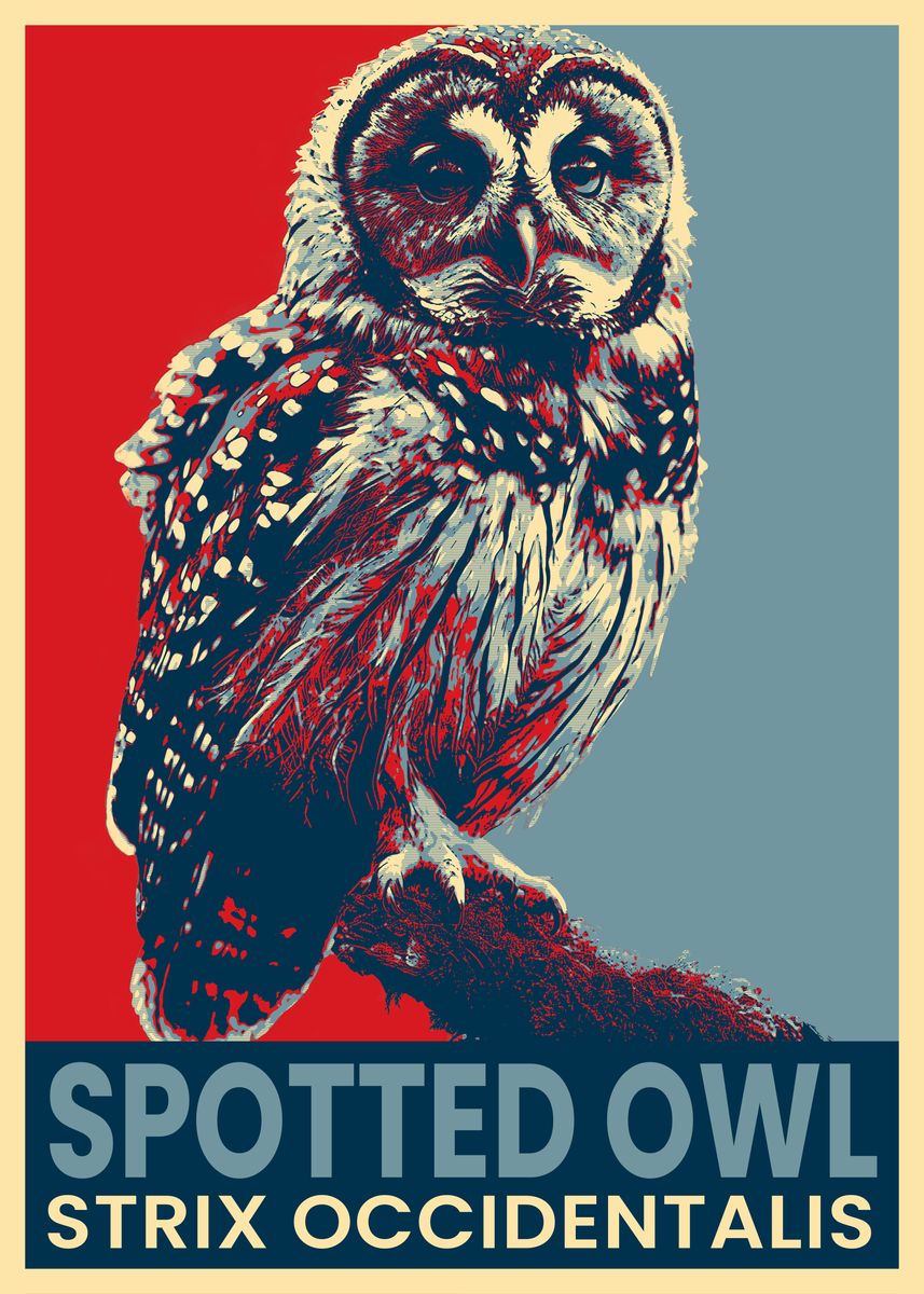 'Spotted Owl Poster' Poster, picture, metal print, paint by Displate ...
