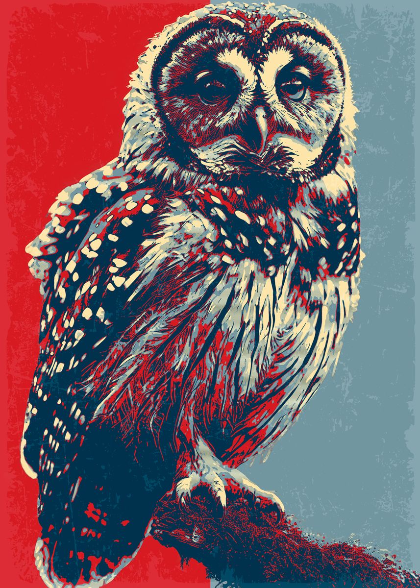 'Spotted Owl retro' Poster, picture, metal print, paint by Displate ...