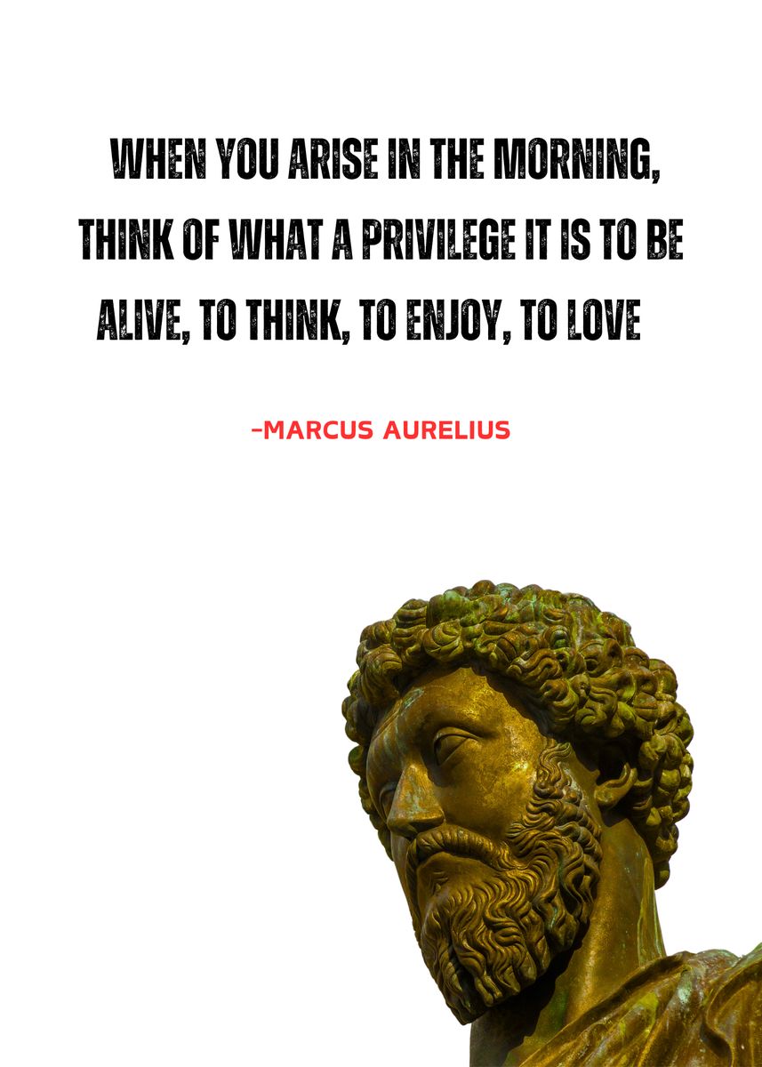 'Marcus Aurelius Quote' Poster, picture, metal print, paint by I Q ...