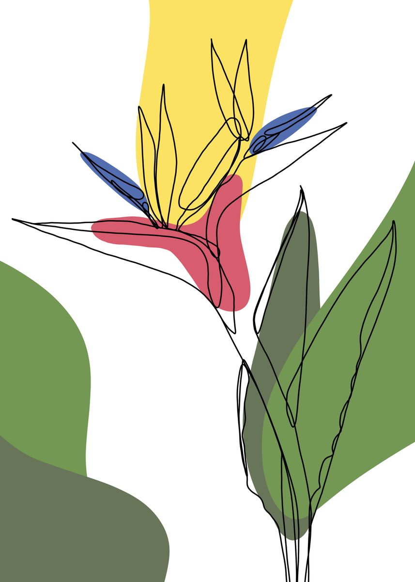 'Bird of Paradise Line Art' Poster, picture, metal print, paint by ...