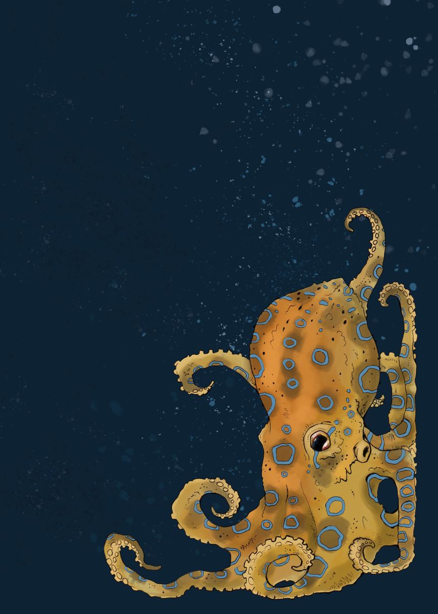 'Blue-Ringed Octopus Illustration' Poster, picture, metal print, paint ...