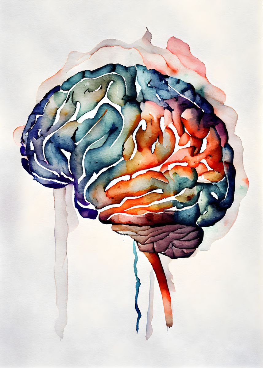 'Watercolor Brain Art' Poster, picture, metal print, paint by Zanoozi Art Prints | Displate