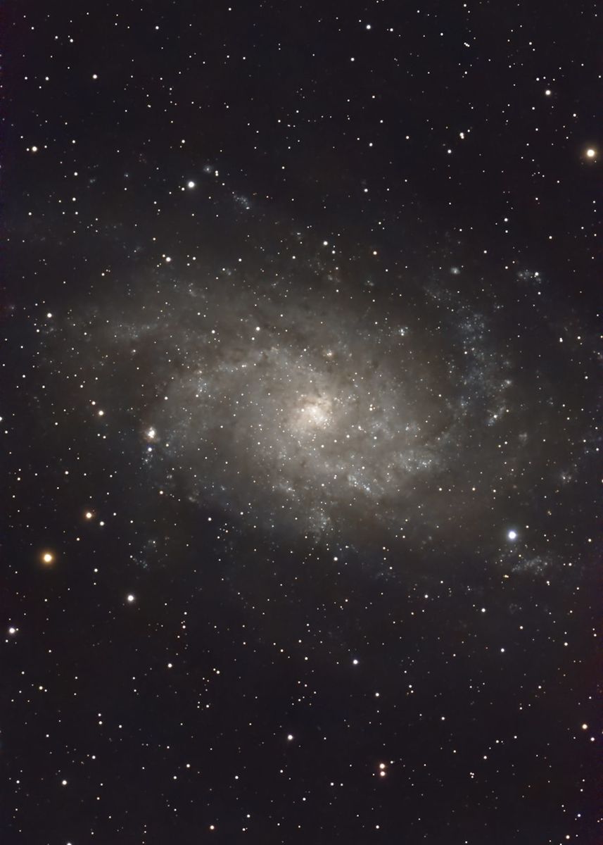 'M33 - Triangulum Galaxy' Poster, picture, metal print, paint by ...