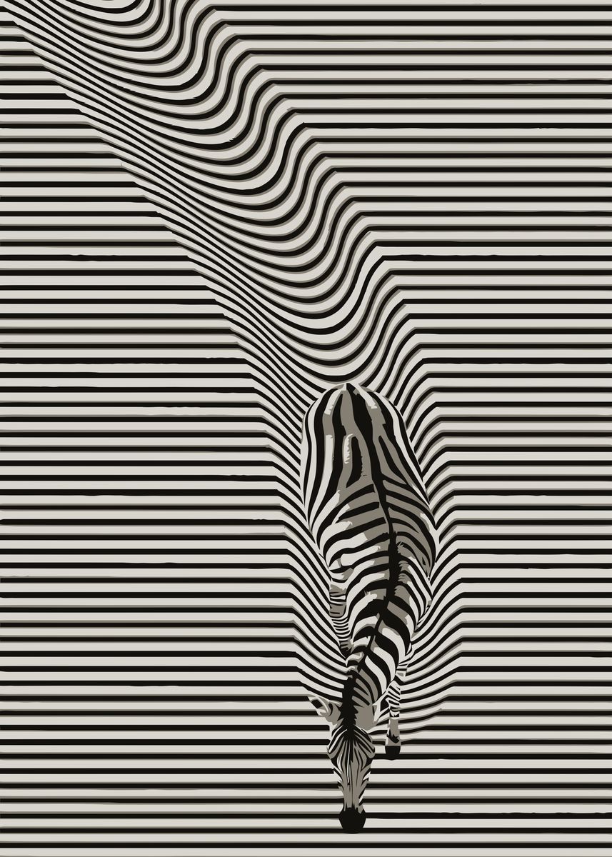 'Zebra Illusion' Poster, picture, metal print, paint by Demon Design ...