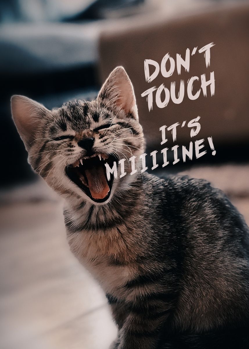 'Funny Cat Meme' Poster, picture, metal print, paint by BLACK PINK ...