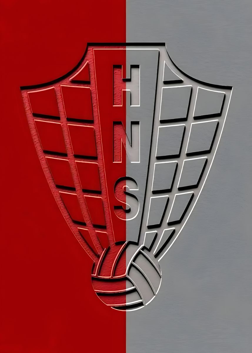 'HNS Volleyball Logo' Poster, picture, metal print, paint by ZAN | Displate