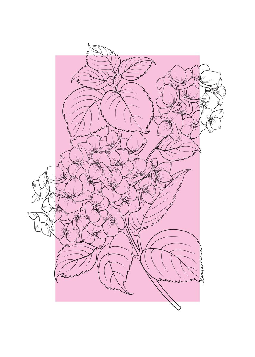 'Hydrangea Line Art' Poster, picture, metal print, paint by dkDesign ...